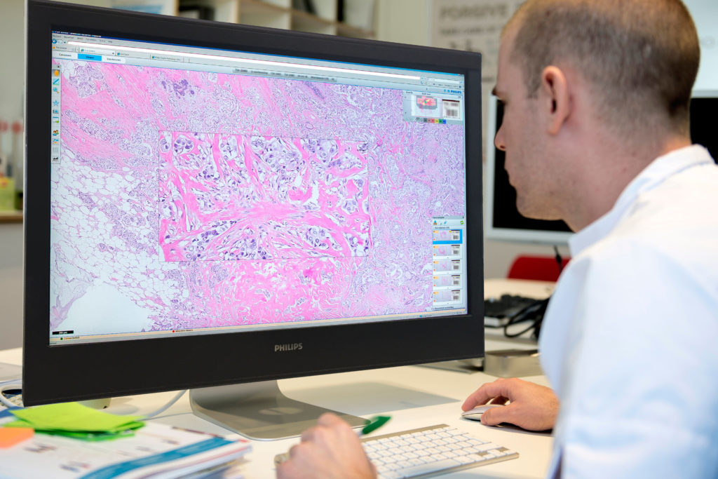 Open-source tool ensures quality of digital pathology images - Health ...