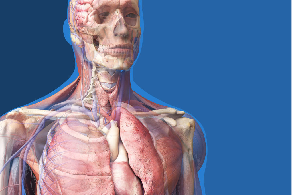 Cleveland Clinic, ZME to develop VR-based clinical anatomy curriculum ...